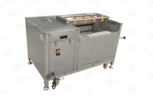 Potato Washing and Peeling Machine - Top Integrated Washer and Peeler