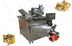 Fish Skin Chips Continuous Deep Fryer - Fried Fish Skin Frying Machine
