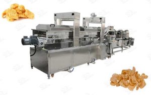 How Pork Rinds are Made in Factory - Commercial Fried Pig Skin Line