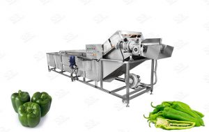 Industrial Pepper Washing Machine - Commercial Pepper Washer