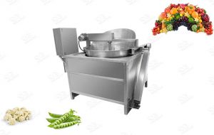 Industrial Vegetable and Fruit Blanching Machine - Blancher for Vegetable
