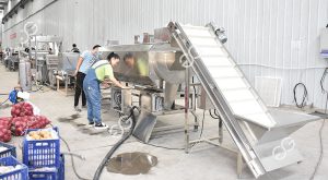 What Are Common Problems with Chips Machine? - Professional Potato ...